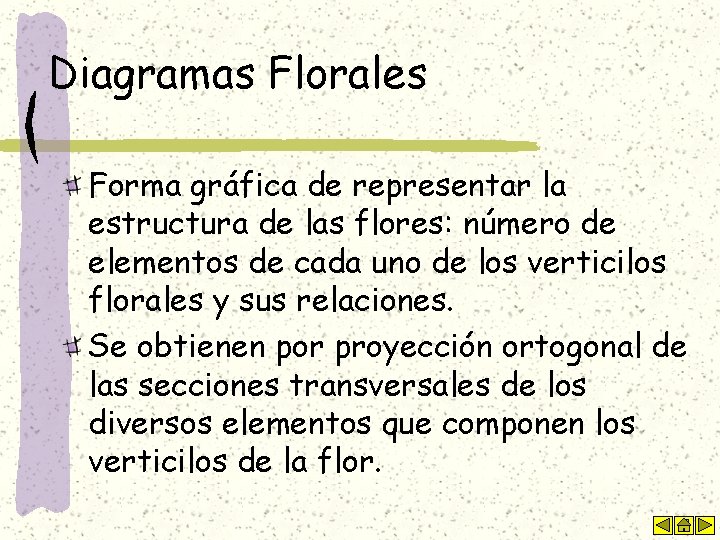 Prctica n 8 a Diagramas y Frmulas Florales