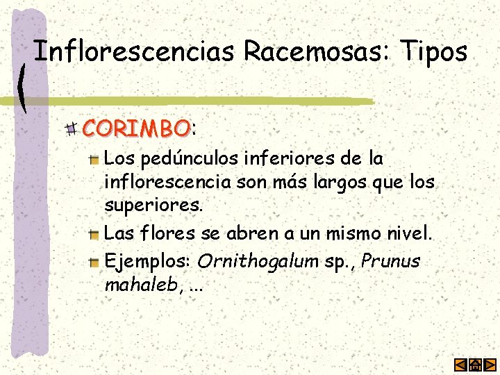 Prctica n 8 a Diagramas y Frmulas Florales