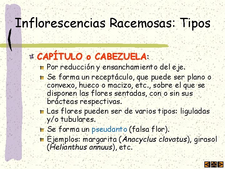 Prctica n 8 a Diagramas y Frmulas Florales