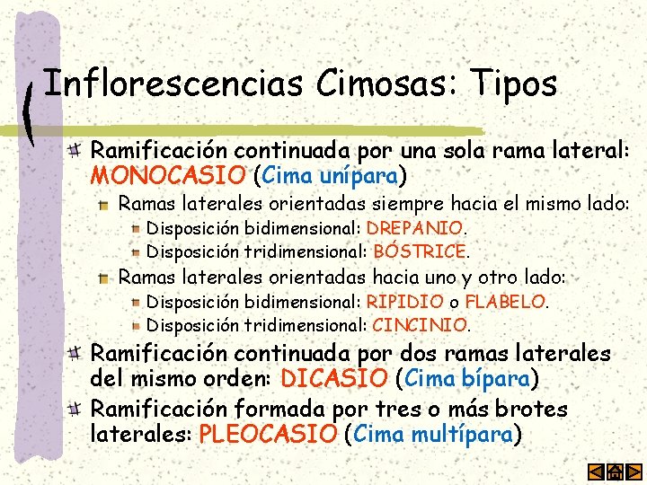 Prctica n 8 a Diagramas y Frmulas Florales