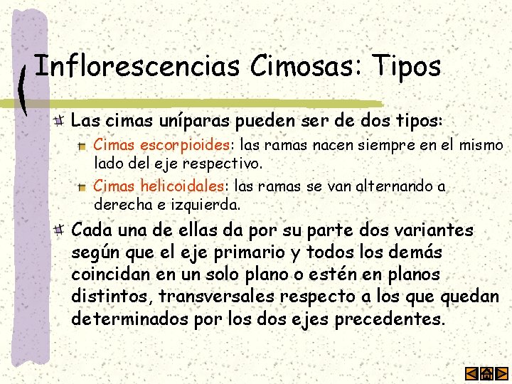 Prctica n 8 a Diagramas y Frmulas Florales