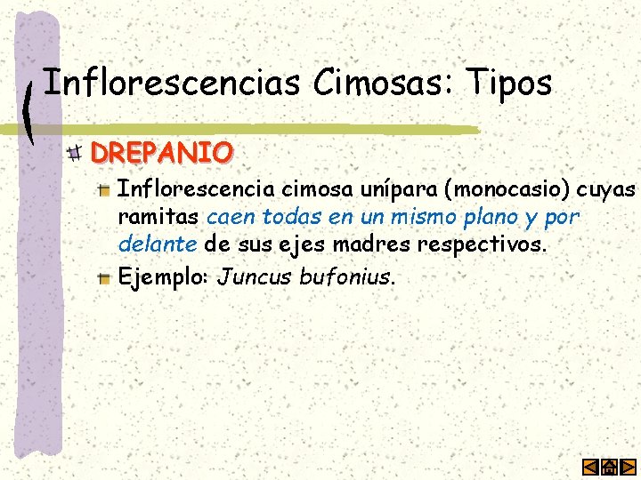 Prctica n 8 a Diagramas y Frmulas Florales