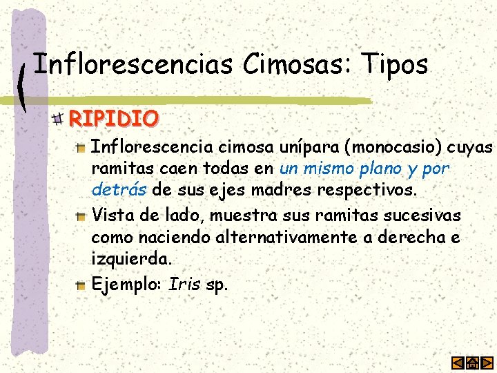 Prctica n 8 a Diagramas y Frmulas Florales