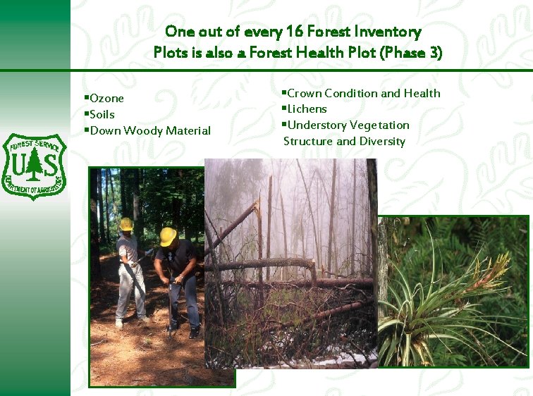 An Overview of the Forest Inventory and Analysis