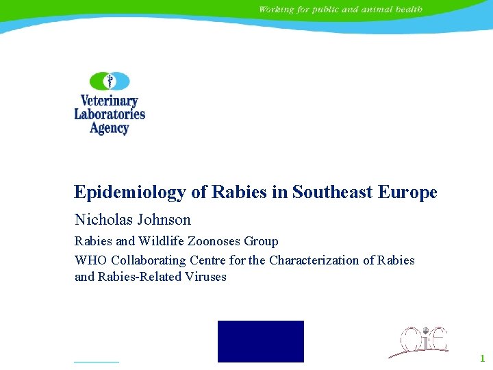 Epidemiology of Rabies in Southeast Europe Nicholas Johnson