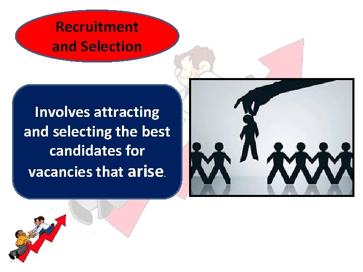 Role of the HR department Recruitment and Selection