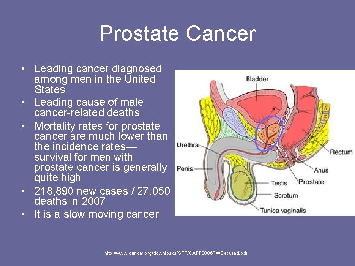 Project Early Awareness Howard University Cancer Center Background