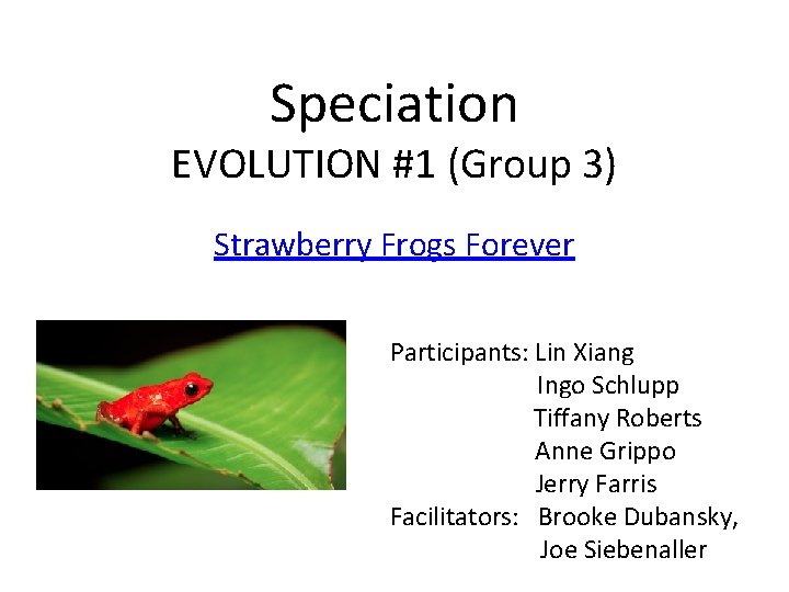 Speciation EVOLUTION 1 Group 3 Strawberry Frogs Forever