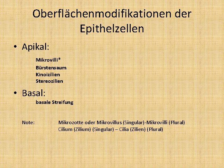 Tiermedizinische Histologie I Semester Allgemeine Histologie 3 ...