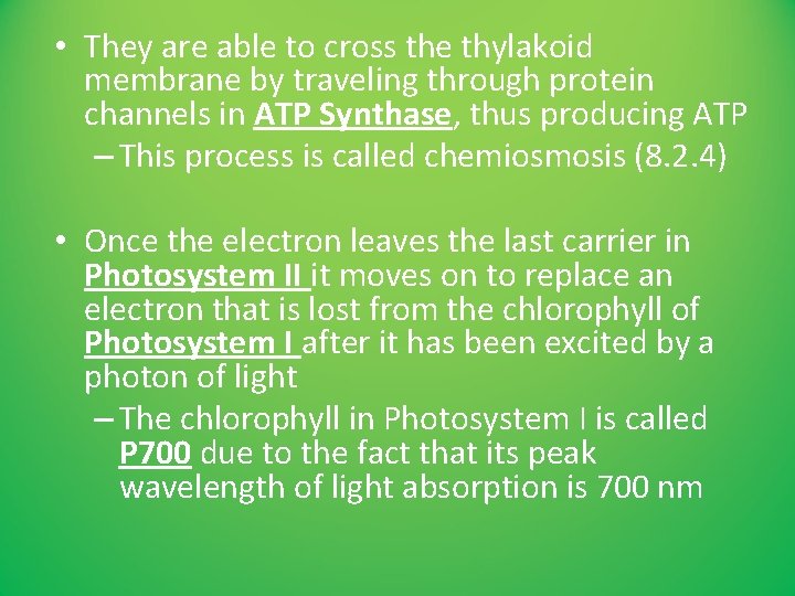 Photosynthesis Chloroplast Structure Photosynthesis occurs in the ...
