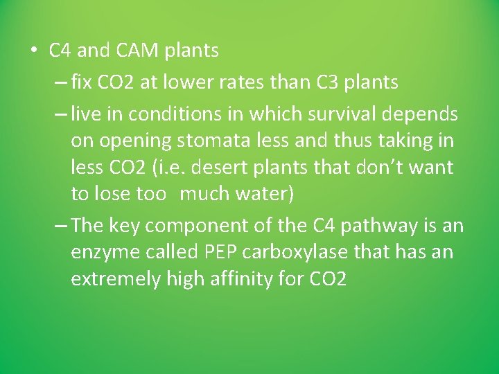 Photosynthesis Chloroplast Structure Photosynthesis occurs in the ...