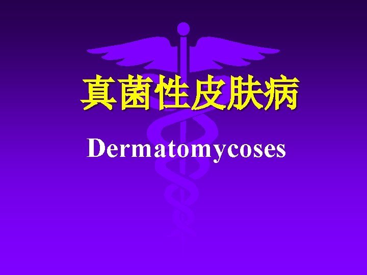 Dermatomycoses dermatophytoses Dermatophyte Infection hair ...