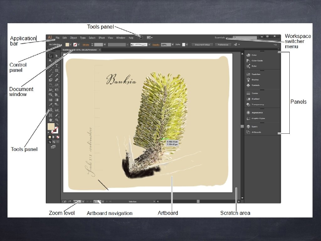 Welcome Teachers Adobe Illustrator CS 6 Training Adobe