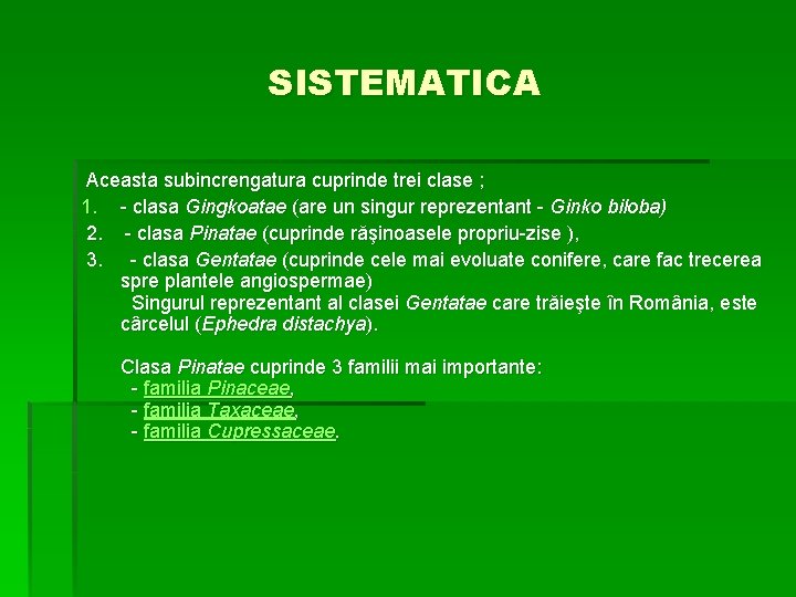 GIMNOSPERME Gymnospermae Gimnospermele sunt plante lemnoase arbori si