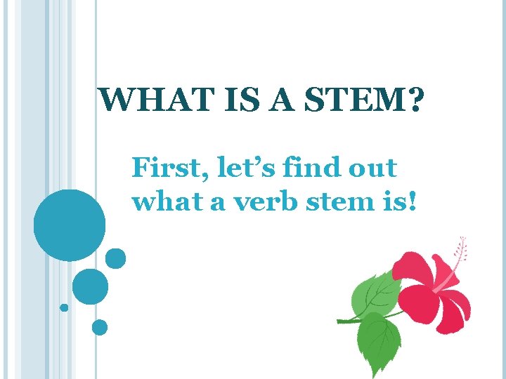 STEMCHANGING VERBS EIE OUE EI WHAT IS A