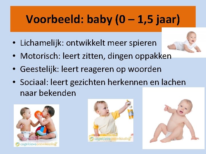 Thema 1 Wat is biologie Basisstof 6 Ontwikkeling