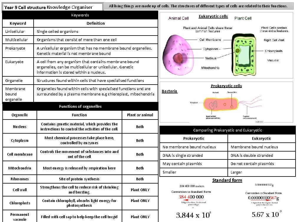 Year 9 Cell structure Knowledge Organiser All living