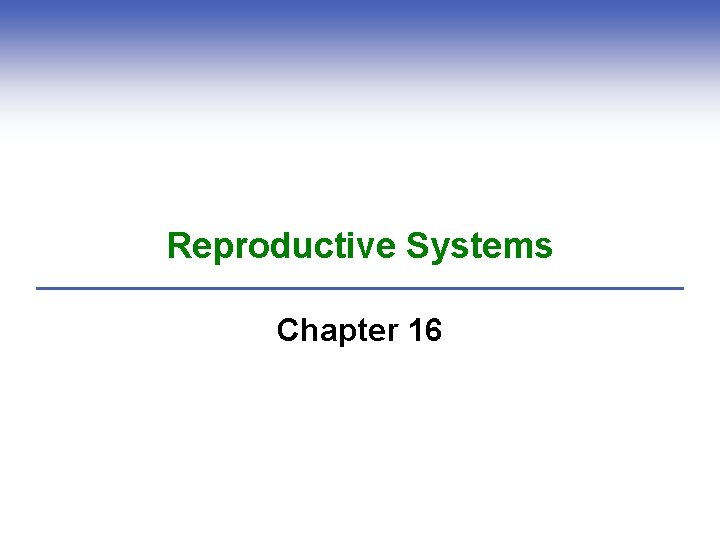 Reproductive Systems Chapter 16 16 1 The Male