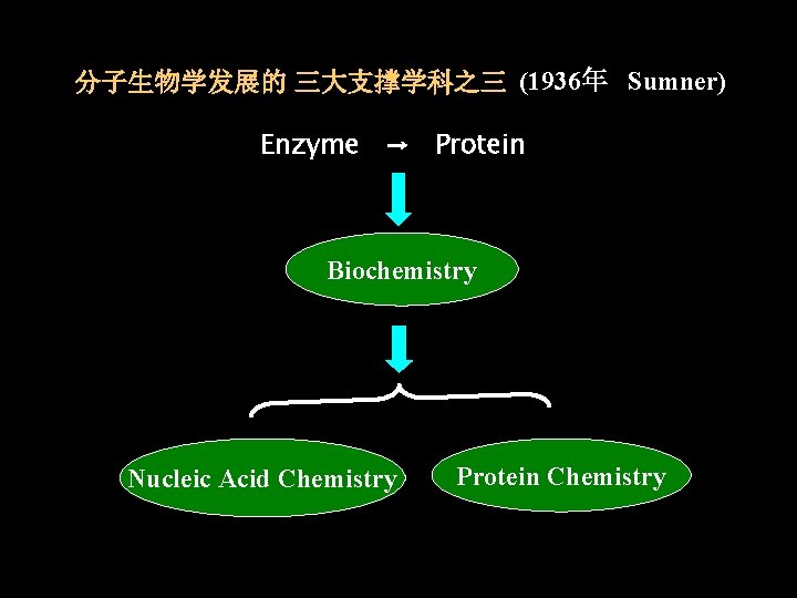 Genetics 1864 Mendel Molecular Genetics Gene structure Gene