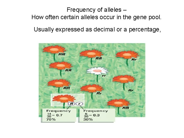 14 4 14 5 Gene Pools Evolutionary Biology