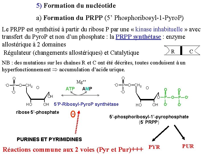 METABOLISME DES BASES PURIQUES ET PYRIMIDIQUES HypoHyper uricmies