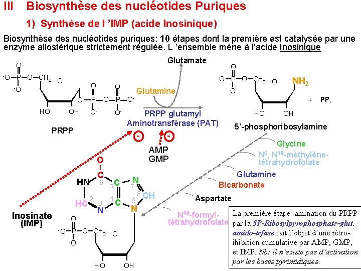 METABOLISME DES BASES PURIQUES ET PYRIMIDIQUES HypoHyper uricmies