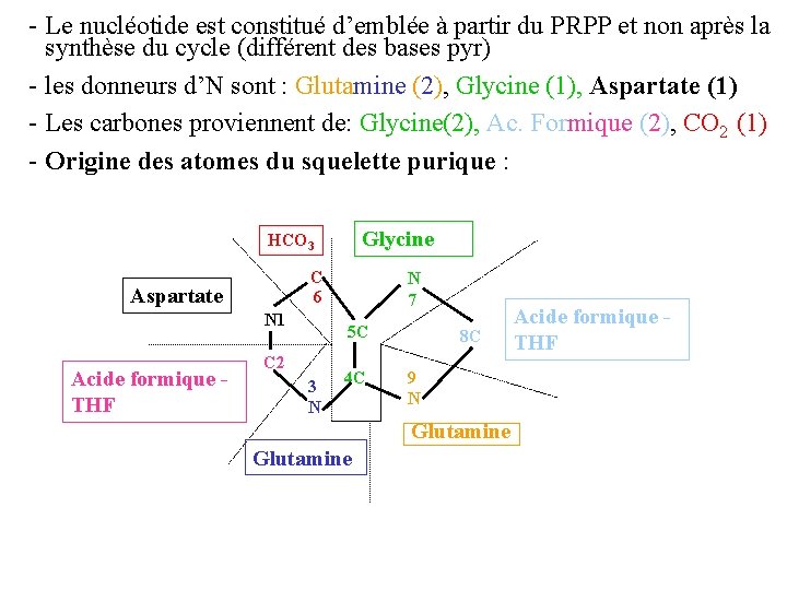 METABOLISME DES BASES PURIQUES ET PYRIMIDIQUES HypoHyper uricmies