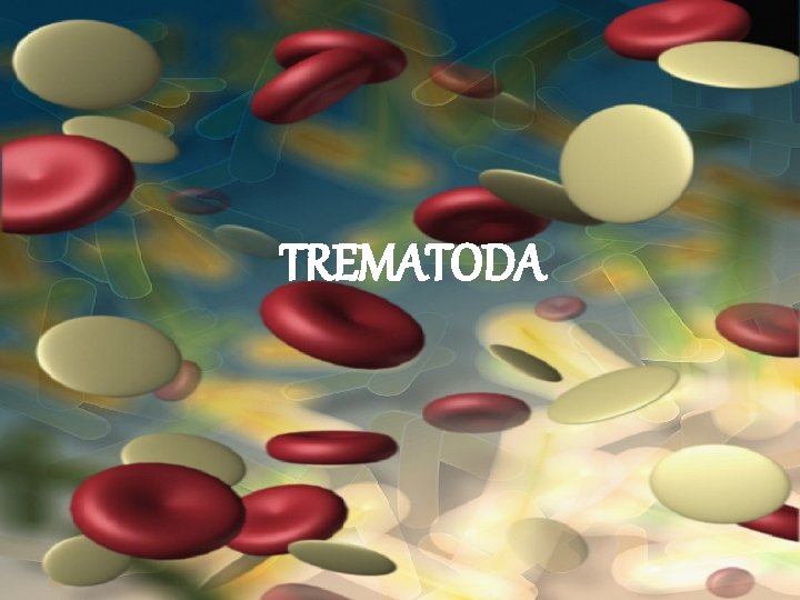 TREMATODA PENDAHULUAN Trematoda termasuk dalam filum Platyhelminthes ...