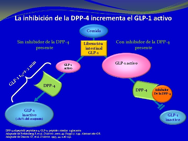 DPP 4 CURSO DE DIABETES ALAD LA HABANA