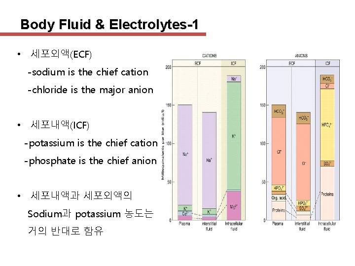 Chapter 11 Body Water and Electrolyte Homeostasis Body
