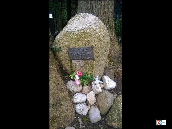 LAREN IN OORLOGSTIJD voor de pauze door Elbert