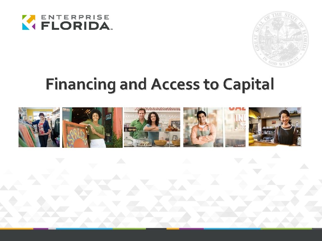 Financing and Access to Capital Overview of Enterprise