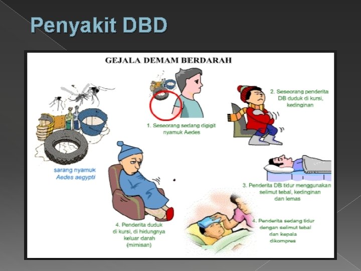 RIWAYAT ALAMIAH PENYAKIT NATURAL OF DISEASE Epidemiologi Pert