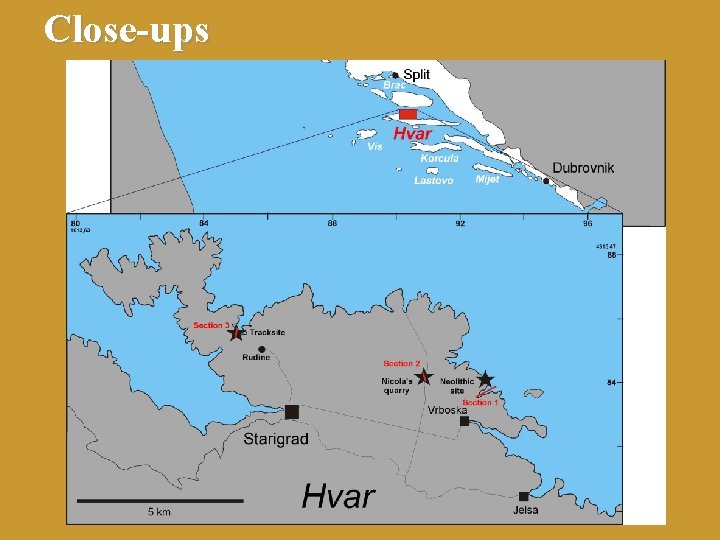 Hunting for 95 million year old lizards and