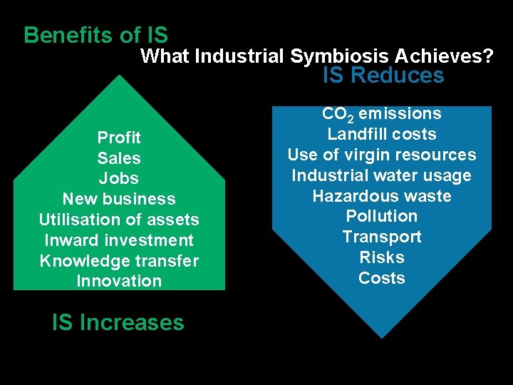 Industrial Symbiosis Programmes in South Africa National Cleaner