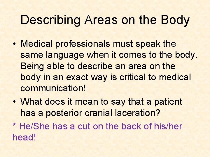 Chapter 13 Your Body and How It Functions