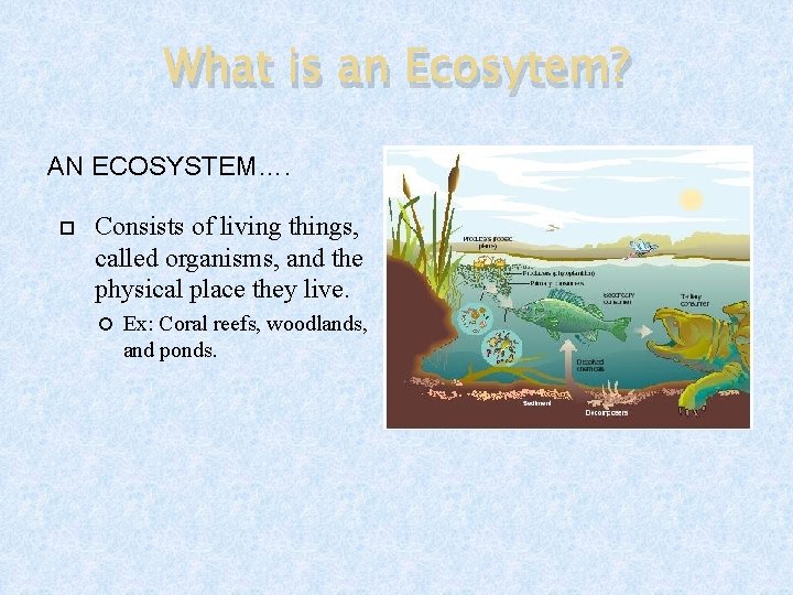 CHAPTER 12 ECOLOGICAL ROLES LESSON 1 ABIOTIC BIOTIC