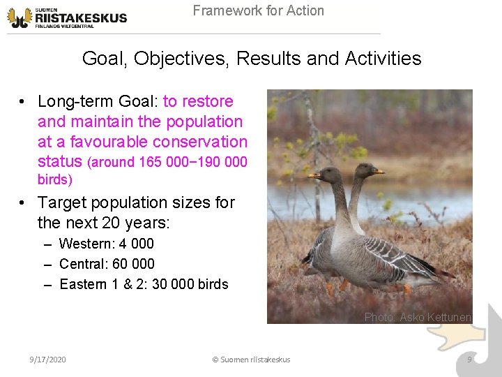 International Single Species Action Plan for the Conservation