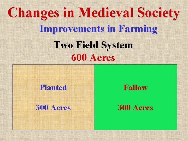 Changes in Medieval Society A Growing Food Supply