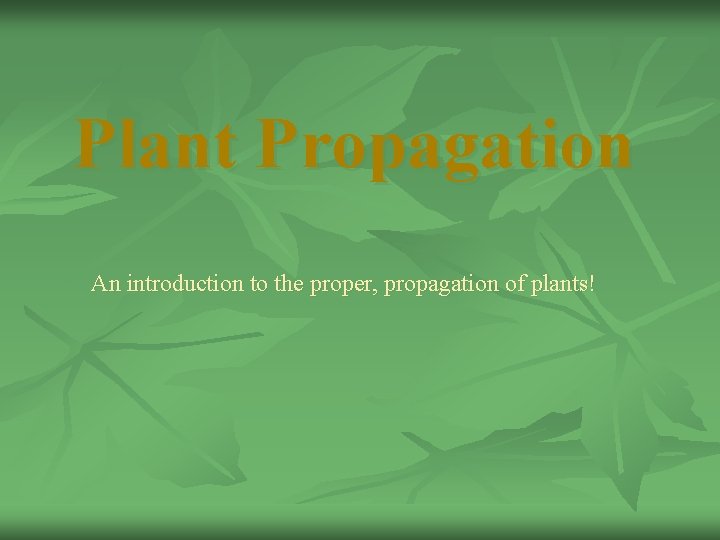 Plant Propagation An introduction to the proper propagation