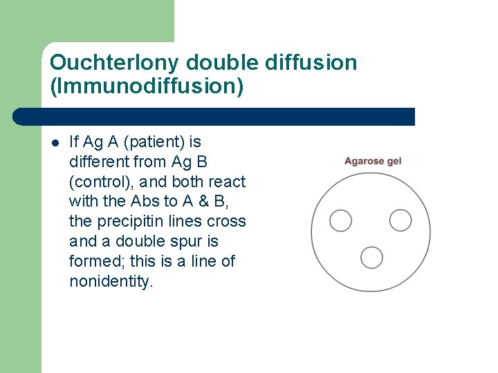ImmunologySerology Lab Precipitation Reactions l l l Capillary