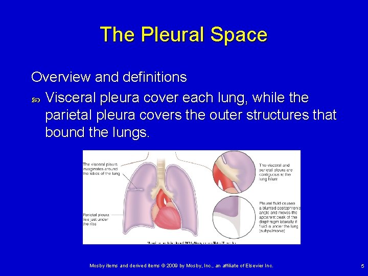 Chapter 25 Pleural Diseases Objectives Describe important anatomic