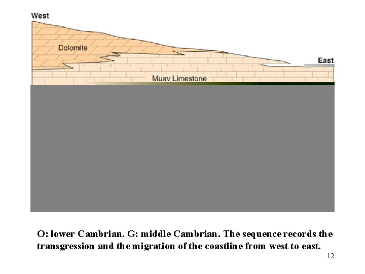 HISTORICAL GEOLOGY LECTURE 8 EARLY PALEOZOIC GEOLOGY I