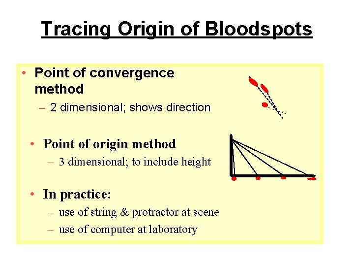 Blood Spatter 2 What Can We learn Blood
