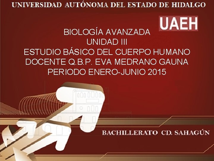 BIOLOGA AVANZADA UNIDAD III ESTUDIO BSICO DEL CUERPO