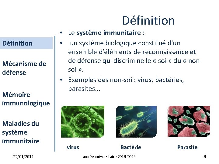 Le Systme Immunitaire Travail ralis par Myriam Riani
