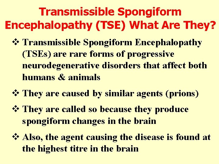 Evolution of the Mad Cow Disease in the