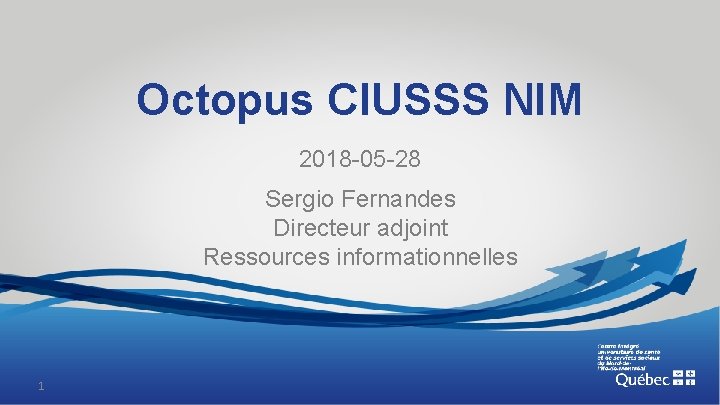 Octopus CIUSSS NIM 2018 05 28 Sergio Fernandes