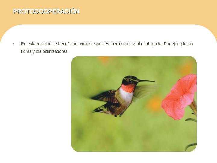 UNIDAD II Poblaciones y Comunidades caractersticas y funcionamiento