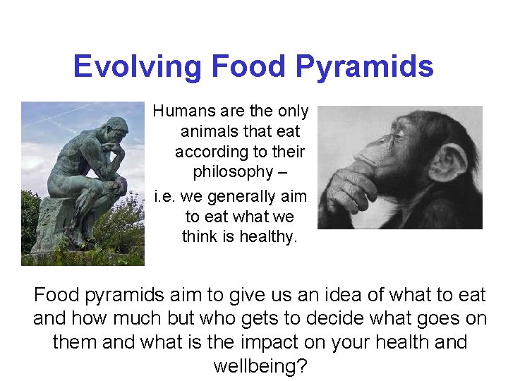 Evolving Food Pyramids Humans are the only animals